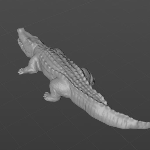 alligator digital