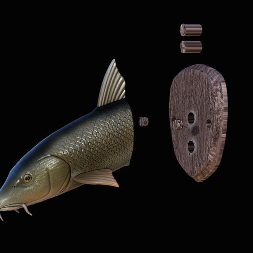 🐠 fish Common barbel / Barbus barbus head trophy woodbase statue ...