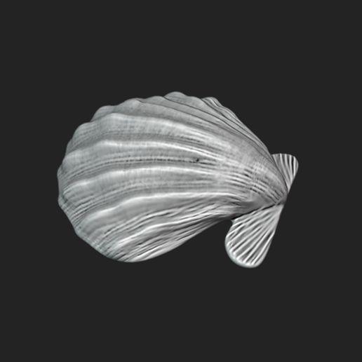 🐾 Giant Lion’s Paw Shell - 3D Printable Seashell Model・ 3D File for 3D ...
