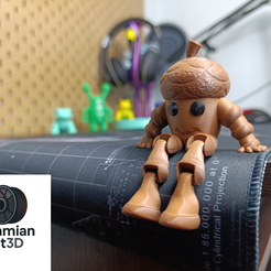 Acorn best STL files for 3D printing・417 free models to download・Cults