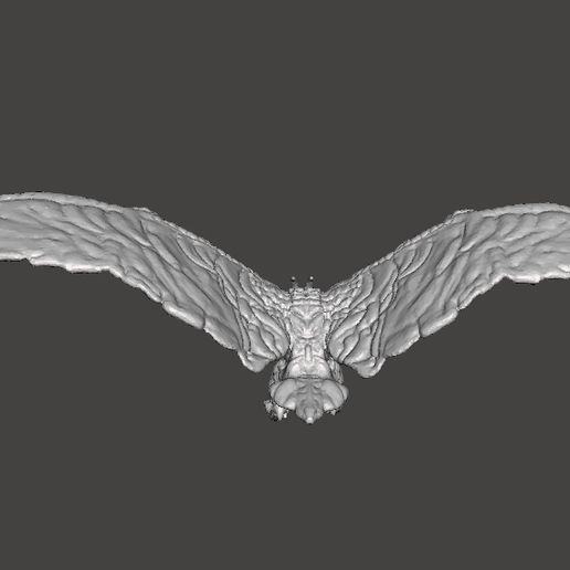 👹 RODAN 2019 FLYING KAIJU MONSTER MINIATURE MODEL FOR FANTASY GAMES RPG ...