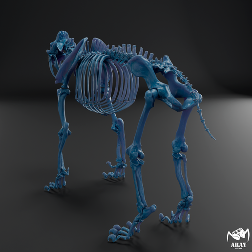 💀 Smilodon populator - sabertooth skeleton 3D print model・ 3D File for ...