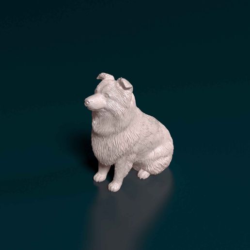 🐕 Mini Australian Shepherd・ STL File for 3D printing・Cults
