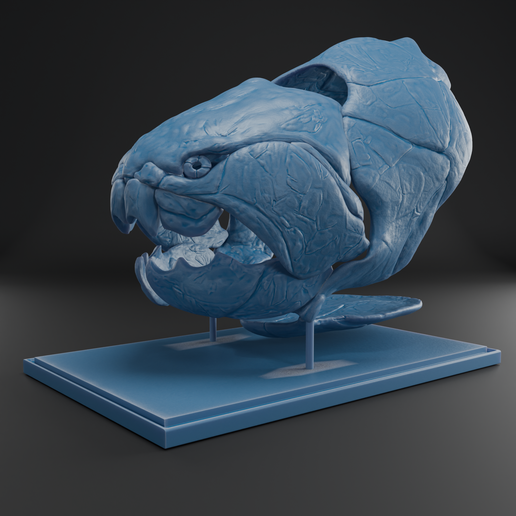 💀 Dunkleosteus skull 3D print model・ STL File for 3D printing・Cults