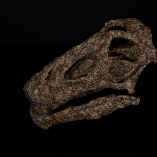 💀 Bajadasaurus pronuspinax model 3d print・ STL File for 3D printing・Cults