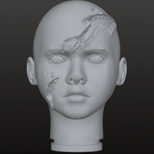 🗿 Megan's head battle damage・ STL File for 3D printing・Cults