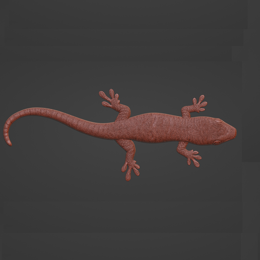 STL file Gecko 3d relief .stl file 📁 ・3D print model to download・Cults