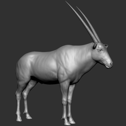 🐉 Wild animal collection - 10 animals VOL-3・ 3D File for 3D printing・Cults