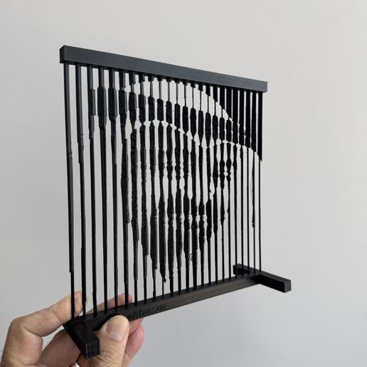 🗿 Sheikh Zayed to Sheikh Mohamed Bin Zayed – 3D Optical Illusion ...