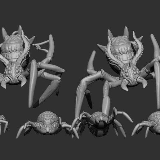 🤏 Small spiders and their champion・Free STL File for 3D printing・Cults