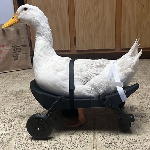 🦆 Duck Wheelchair・3D Print with the K1 3D printer・Cults
