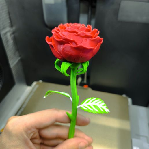 3D printer Rose (Multi part + Single piece) • made with Bambu Lab X1C・Cults