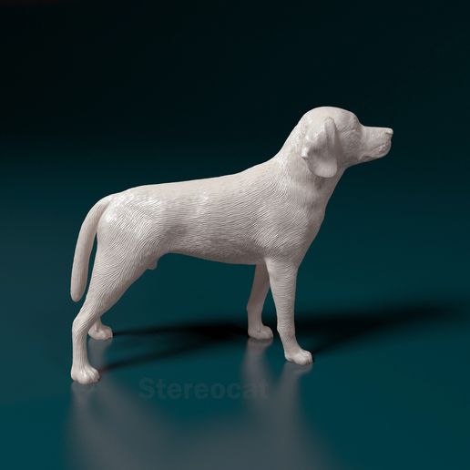 STL file Beagle 🐕 (OBJ)・3D print design to download・Cults