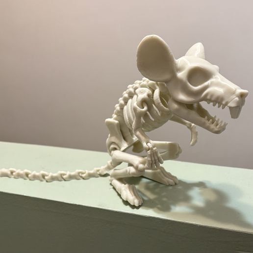 3D printer LEONARDZ3D - FLEXI PRINT-IN- PLACE SKELETON RAT - HALLOWEEN ...
