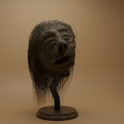 Archivo STL Cabeza reducida 👫 ・Modelo para descargar y imprimir en 3D・Cults