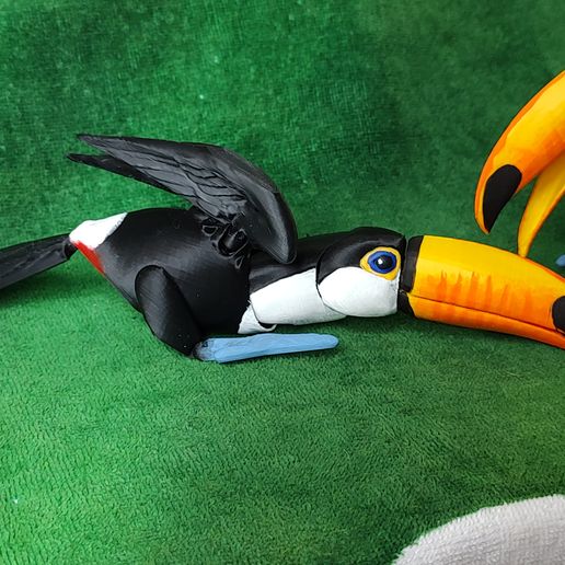 🐦 Toucan Articulated Figure・ STL File for 3D printing・Cults