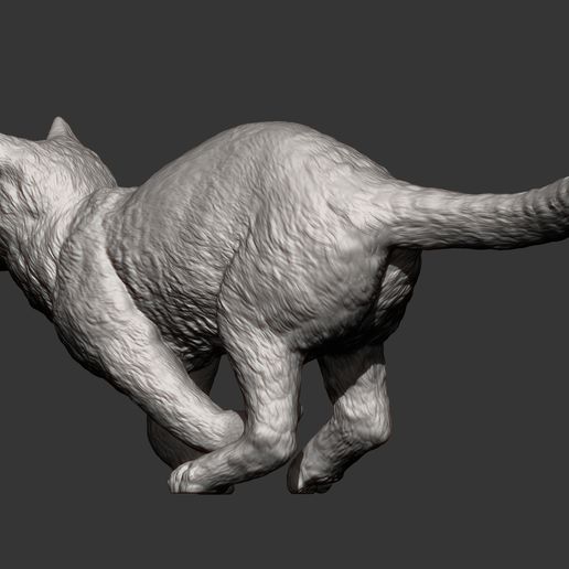 🏃 running cat 3D print model・ 3D File for ・Cults