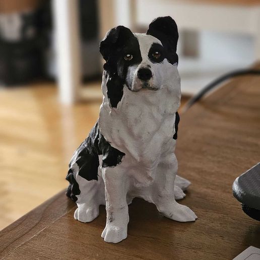 3d border collie