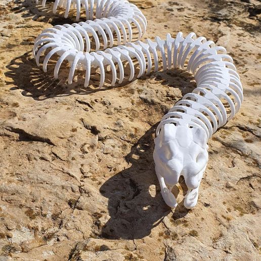 3D file Articulated snake skeleton 🐍 ・Design to download and 3D print・Cults