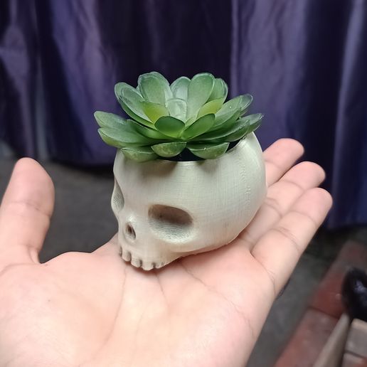 💀 skull pot・ 3D File for 3D printing・Cults