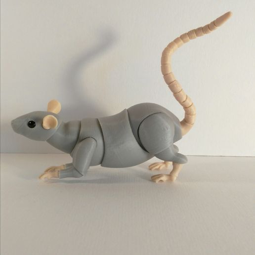 🐀 Rat BJD・ STL File for ・Cults