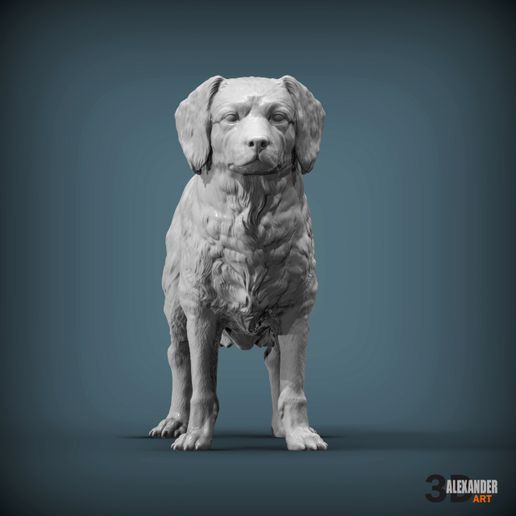 STL file dutch kooiker dog 3D print model 🐕 (OBJ)・3D printer model to ...