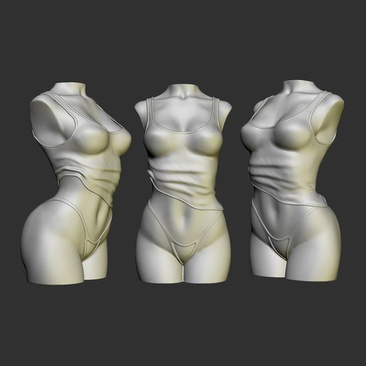 female torso reference