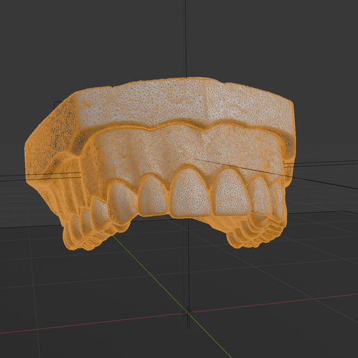 Printable Upper Dental Arch / Teeth Model 🦷 (Anatomy Study)・ STL File ...