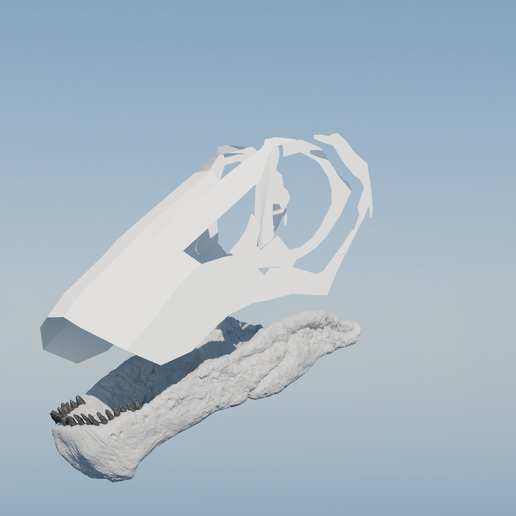 💀 Bajadasaurus pronuspinax model 3d print・ STL File for 3D printing・Cults