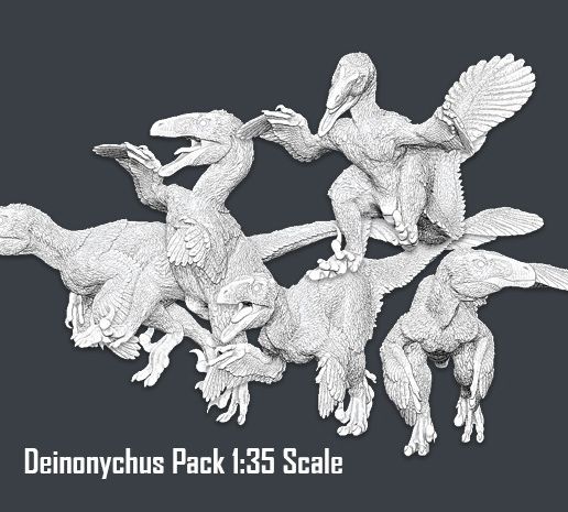 deinonychus pack size