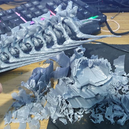 💀 Carnotaurus skeleton 60 cm 3d print・ 3D File for 3D printing・Cults