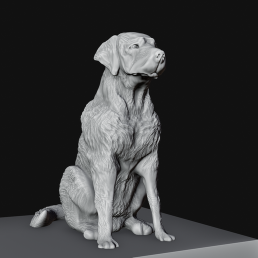 STL file labrador stl 🐕 ・3D printable model to download・Cults