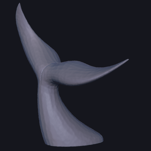 Free STL file Whale Tail 🐳 ・3D printer model to download・Cults