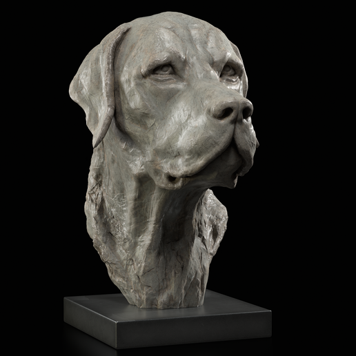 STL file Labrador Retriever - Dog Bust 🐕 (OBJ)・3D printer design to ...