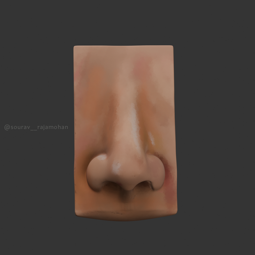 👃 Realistic Nose Sculpture – High-Quality 3D Model・ OBJ File for 3D ...