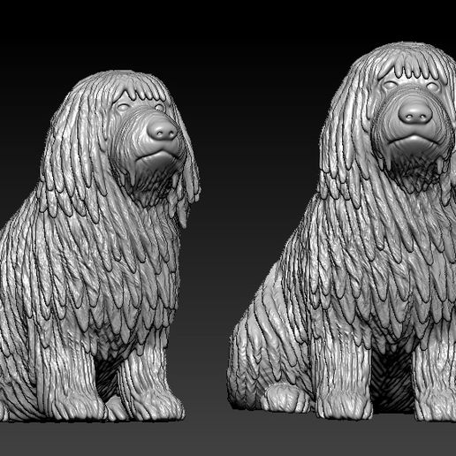 🐕 Puli Dog - Hungarian Puli model - 3D print・ 3D File for 3D printing・Cults