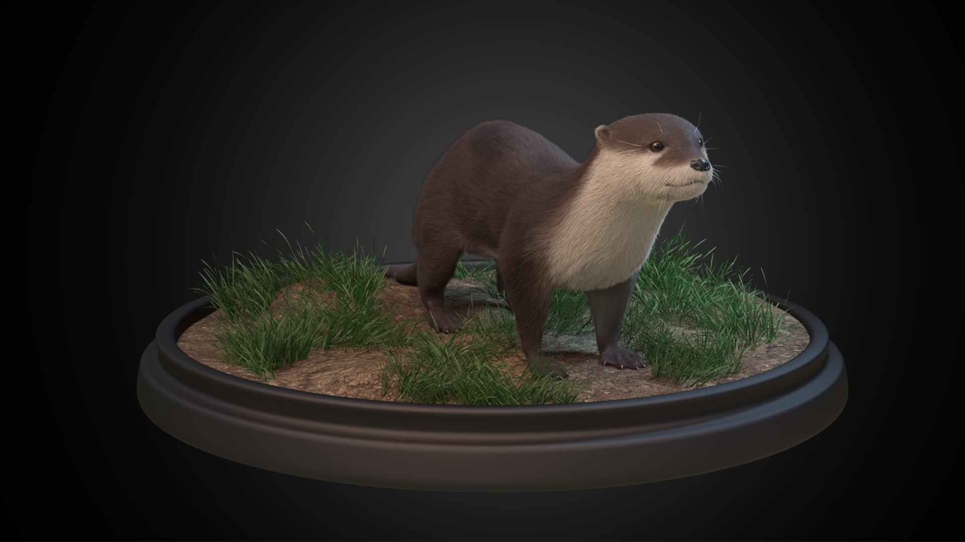 Free STL file European Otter・3D printing idea to download・Cults