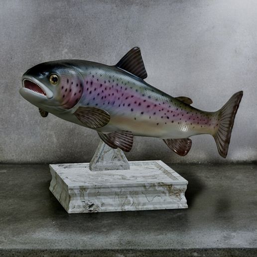 🌈 rainbow trout / Oncorhynchus mykiss fish in motion trophy statue detailed texture for 3d ...