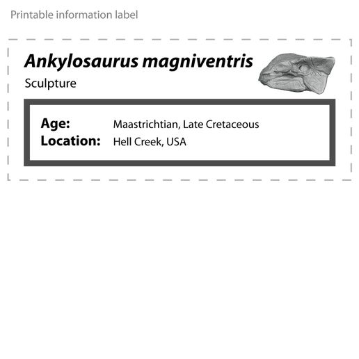 🦖 Ankylosaurus: Dinosaur Skull・ STL File for 3D printing・Cults