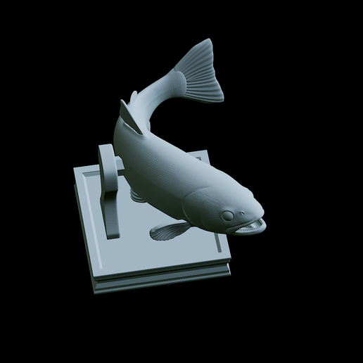 🌈 rainbow trout / Oncorhynchus mykiss fish in motion trophy statue ...