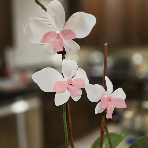 🌸 3D Printable Orchid Flowers – Shape with Heat Gun & Bring Your Orchid ...