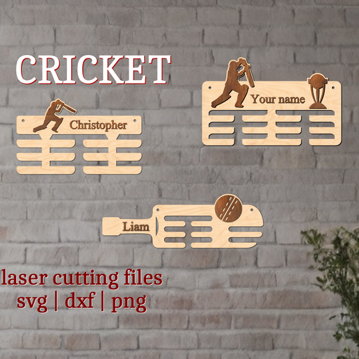 3D file Cricket Medal Holders/Stands | 3 in 1 pack | 🦗 ・Model to ...