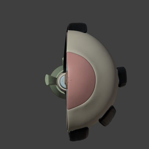 👁️ 3D Model of Human Eye Anatomy v2・ STL File for 3D printing・Cults