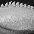 STL file Mosasaurus 🚰 (OBJ)・Model to download and 3D print・Cults