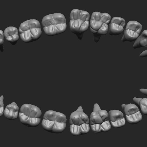 🧪 Teeth・ STL File for 3D printing・Cults