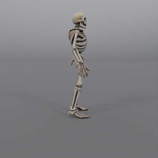 3D file orch skeleton 💀 ・3D printing idea to download・Cults