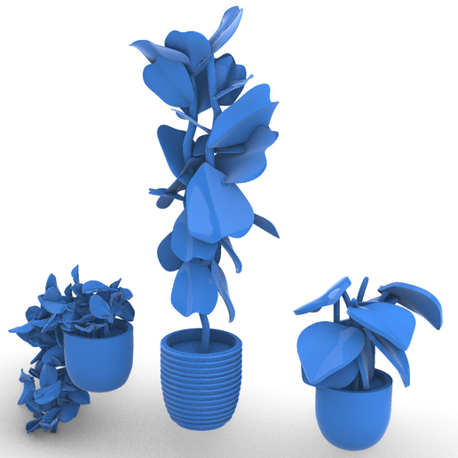 STL file House Plant collection 🏠 ・3D printable design to download・Cults