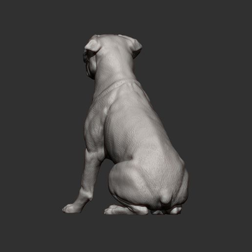STL file Rottweiler is sitting 3D print model 🐕 (OBJ)・3D printer design ...