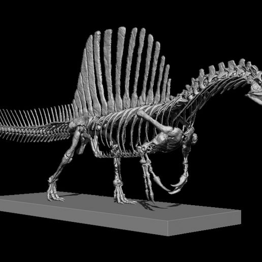 💀 SPINOSAURUS SKELETON V2, PART 1 OF 3・ 3D File for ・Cults