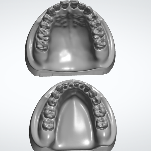 👑 Upper and lower jaws modeled perfectly・Free STL File for 3D printing ...